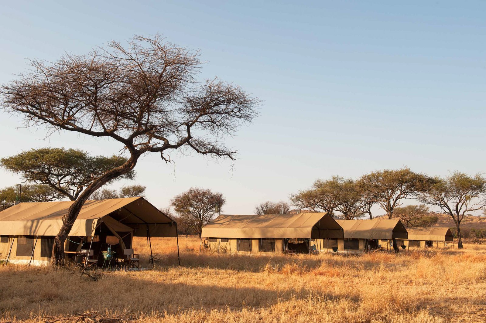 Serengeti Kati Kati Tented Camp - legendarywonders